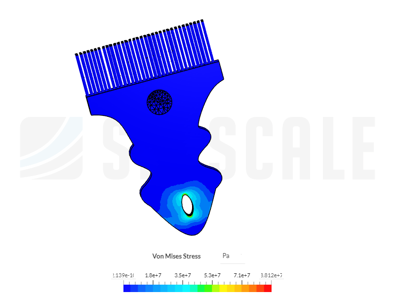 Broca by angienacas1998 | SimScale