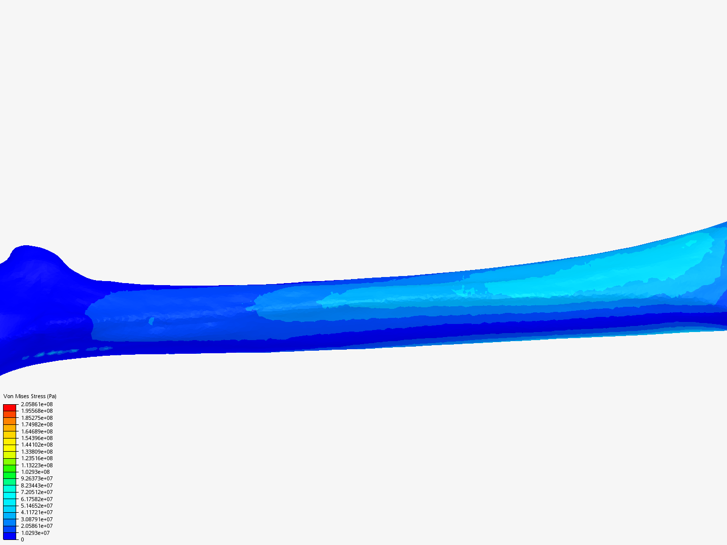 fyp_muscleforces by s_m_deepsikha | SimScale