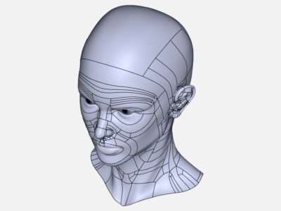 Human face by ssbaghele2002 | SimScale
