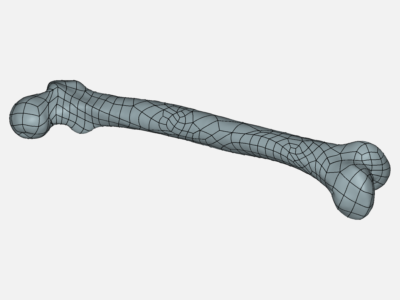Femur by beamlak_work | SimScale