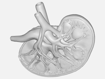 fdfsf by mben_abdelkade | SimScale