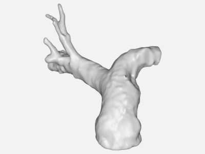 Aortic Blood Flow Simulation by hudahammadi200 | SimScale
