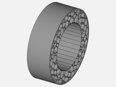 NPT Simulation 2 by kshukla | SimScale