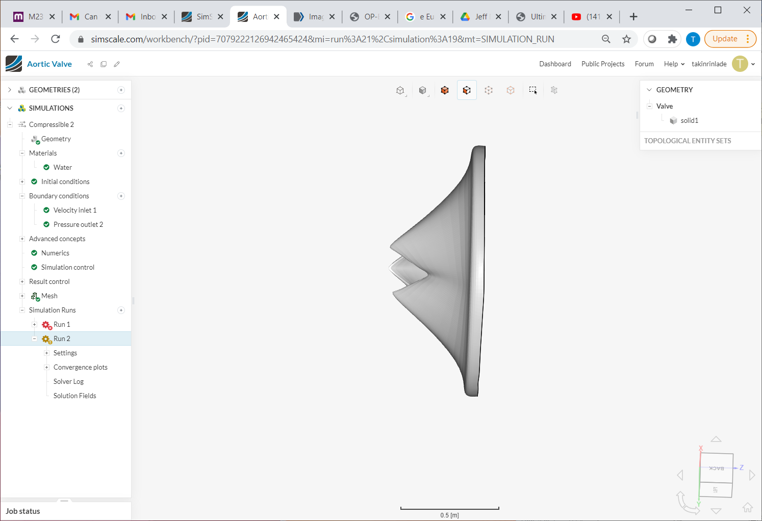 Aortic Valve simulation - Project Support - SimScale CAE Forum